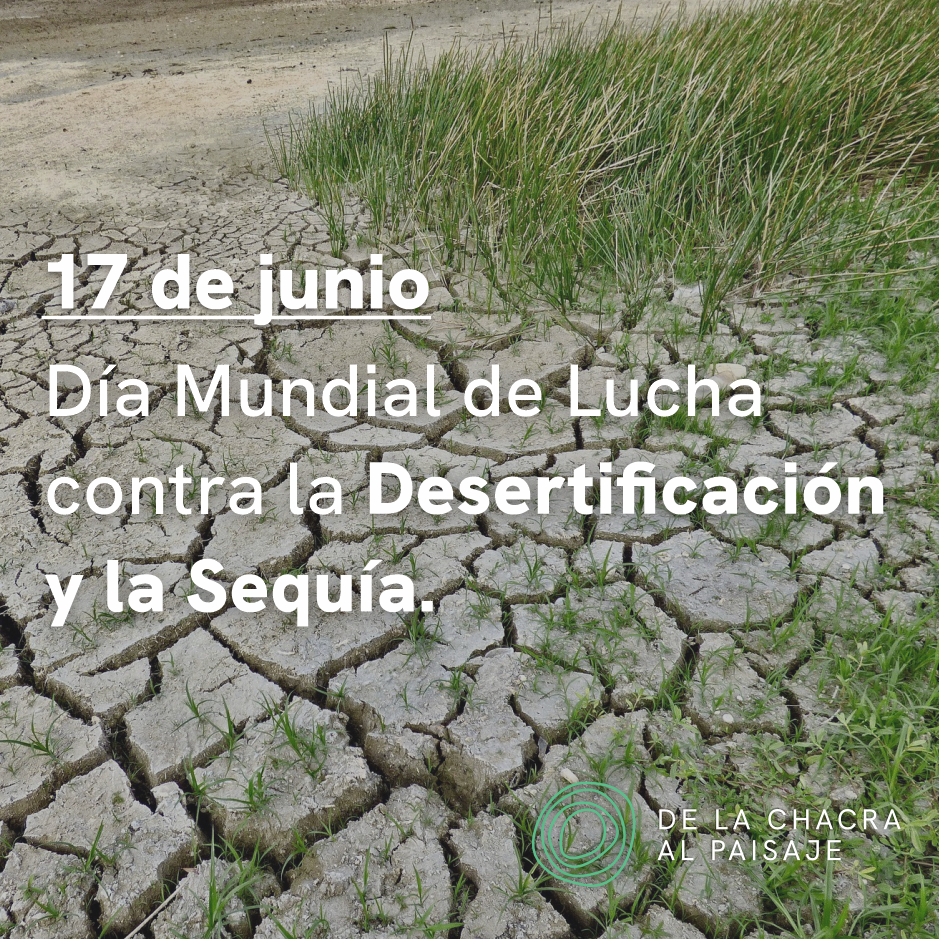 17 de junio | Día Mundial de Lucha contra la Desertificación y la ...
